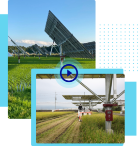 Solar Tracker Systems San Antonio | Sun Action Trackers